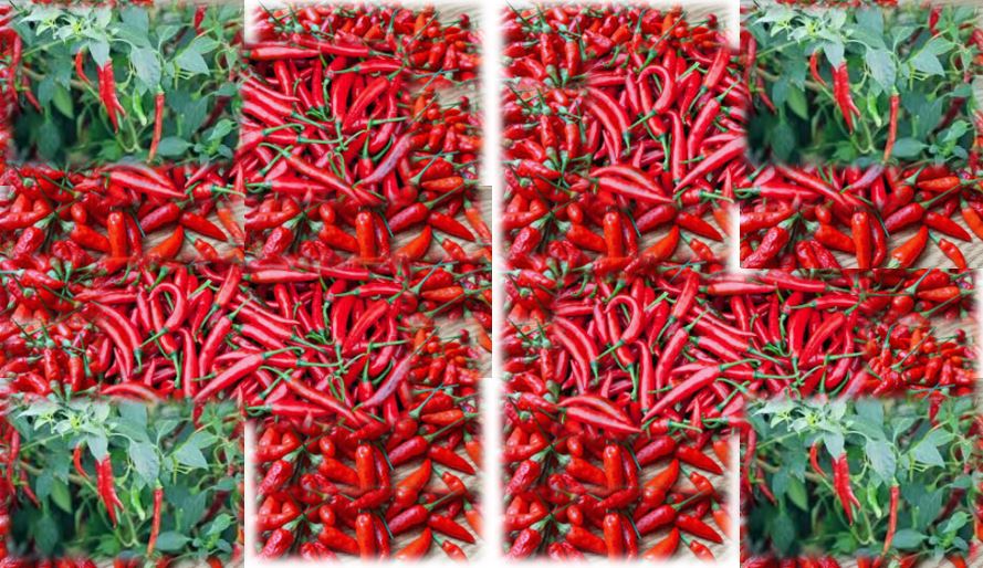 0007-9 – Zakku-Spot.com